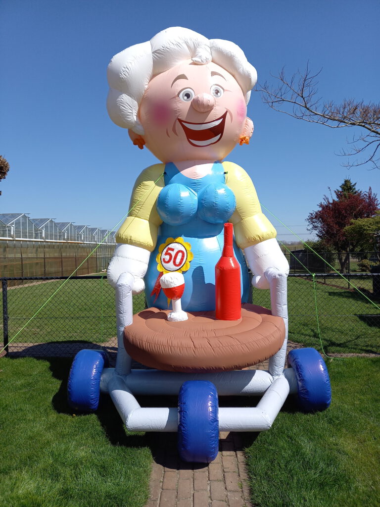 Sarah rollator € 45,00 – All4funbaarlo